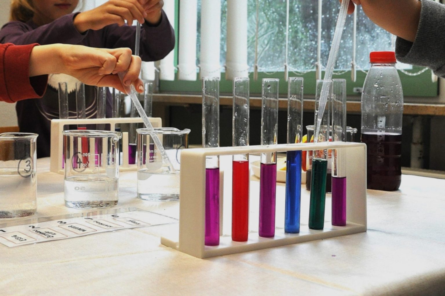 Gesine Semini - ScienceLab